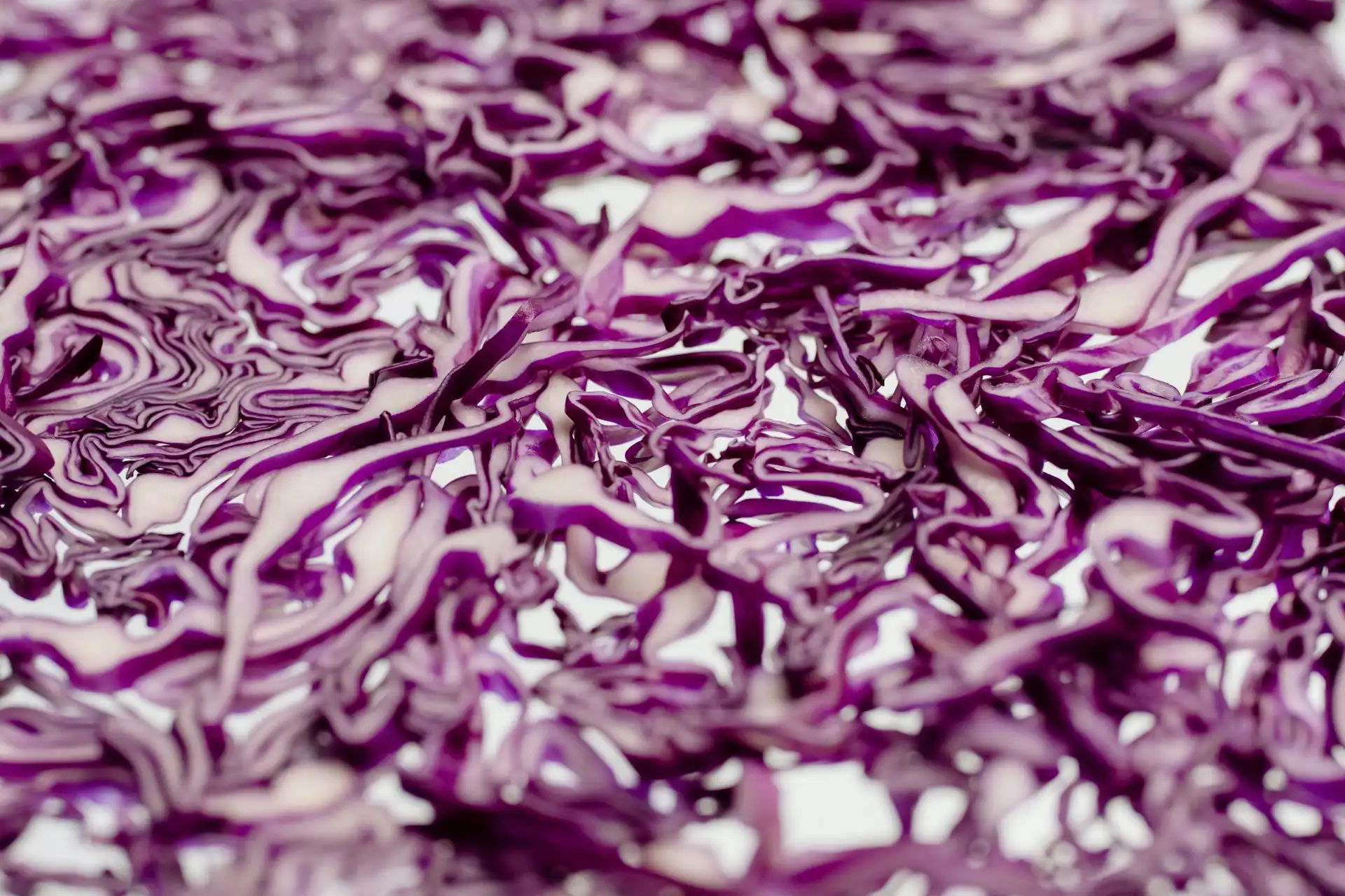 Braised red cabbage - a super side dish | Munching Matilda